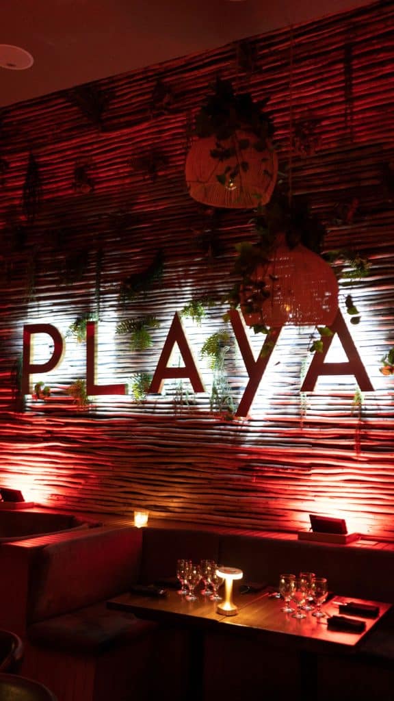 Playa Miami - Miami VIP Life